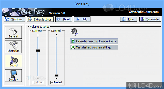 Anti Boss Key - Download