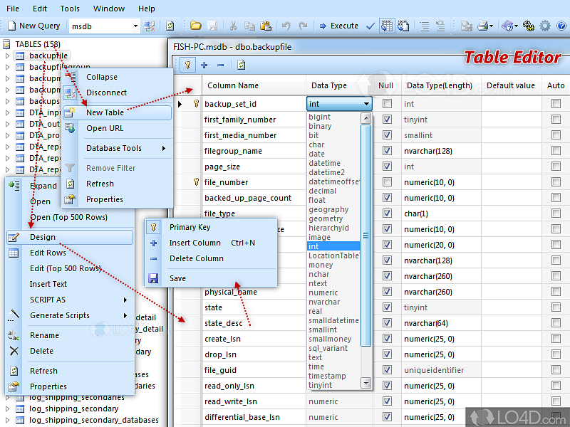Database Net Download