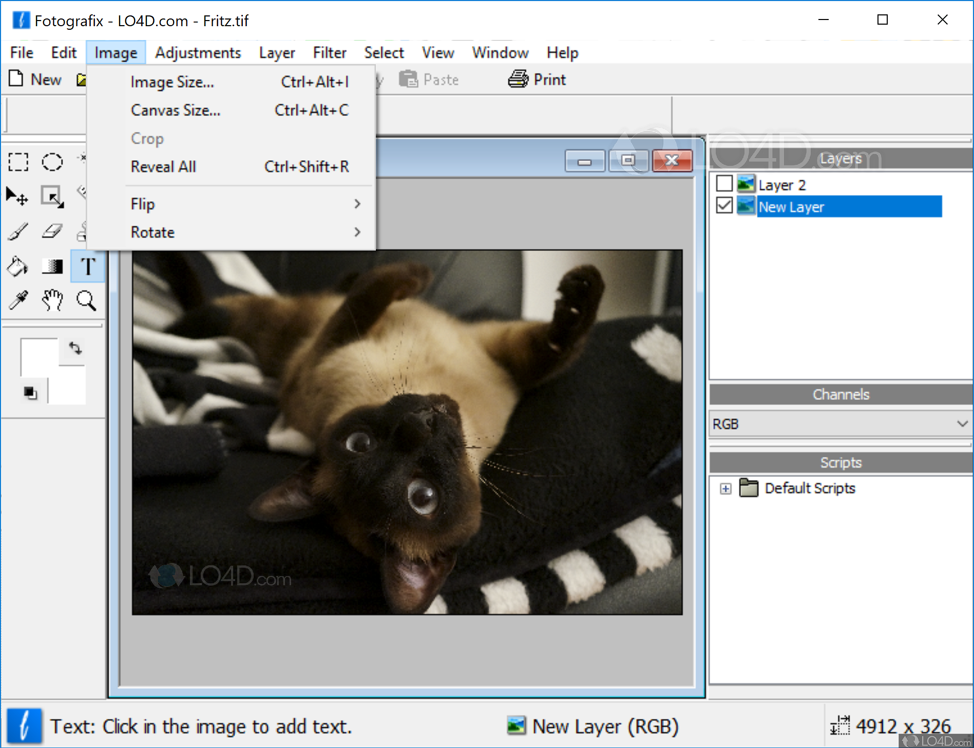 Fotografix - Download