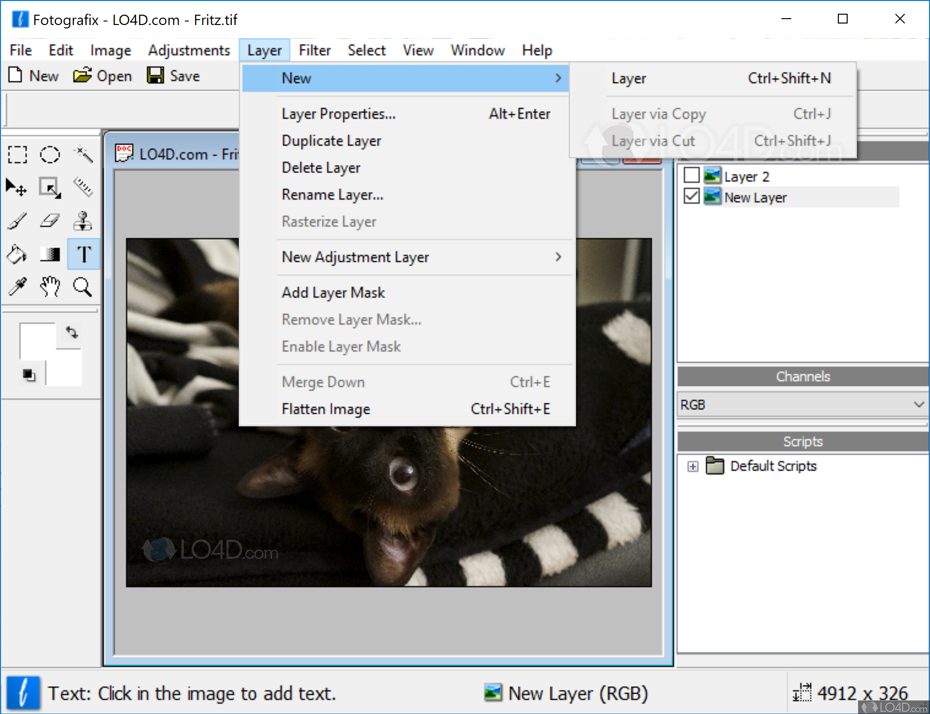 Fotografix - Download