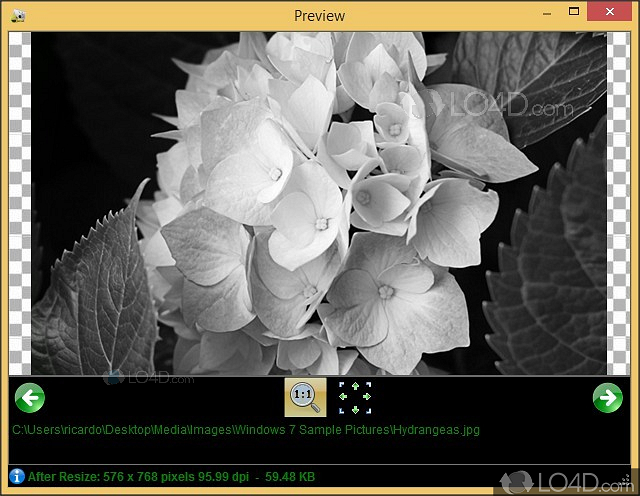 Fotosizer - Download
