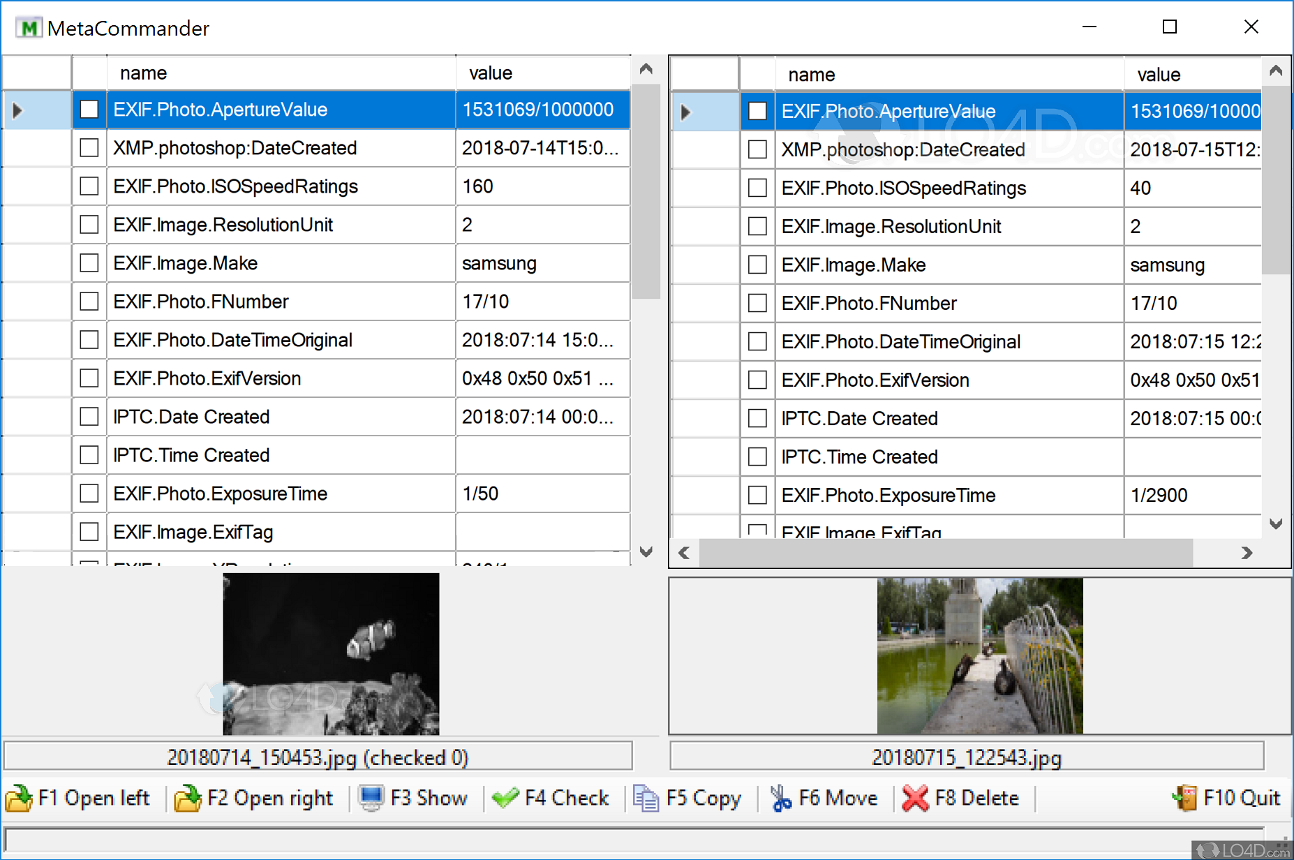 MetaEditor - Download