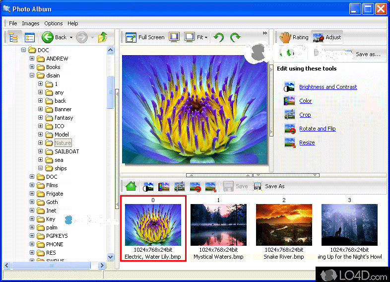 Photo Look - Download